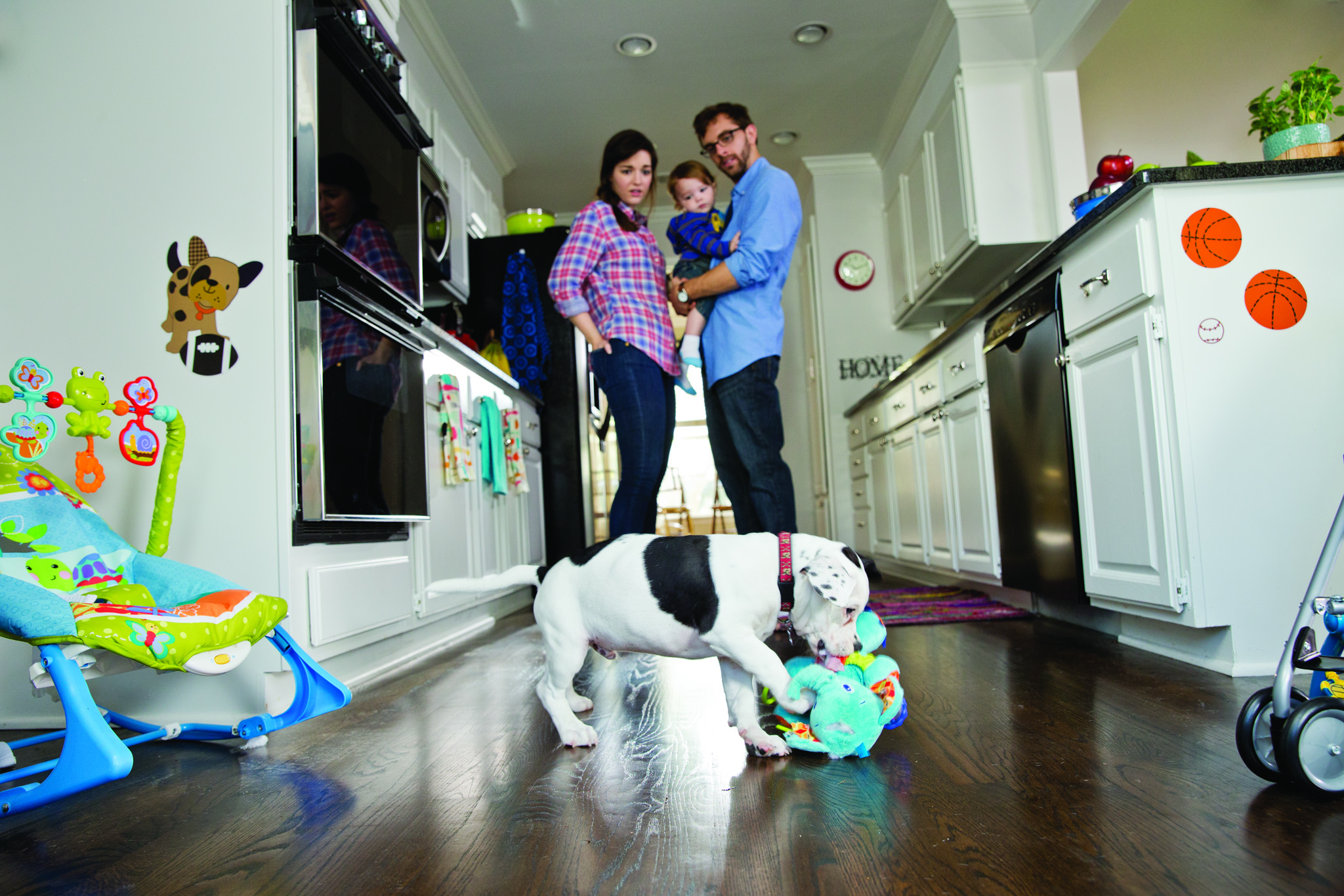 Humor Motion Reel for Director Stewart Cohen of SC Pictures